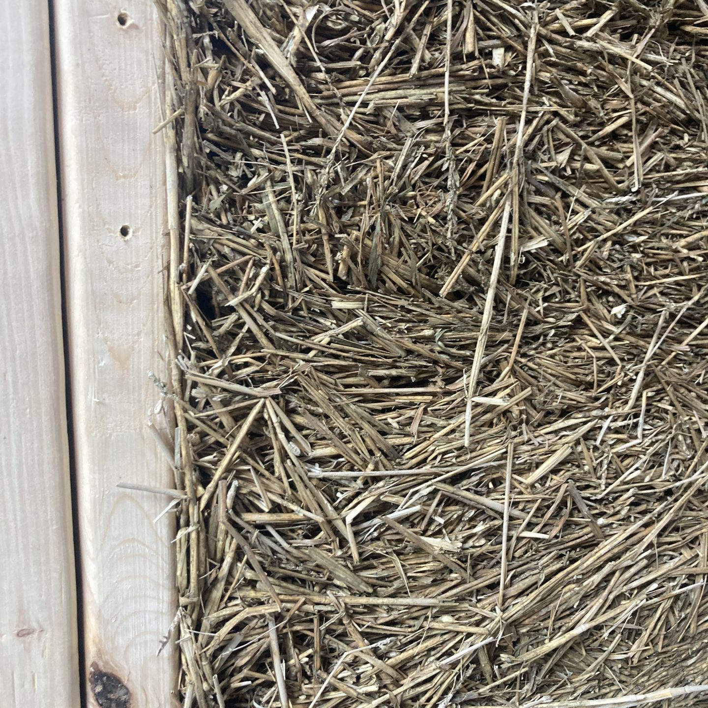 What is Light Straw-Clay?(The Best Natural Wall System?) – biolithic builds